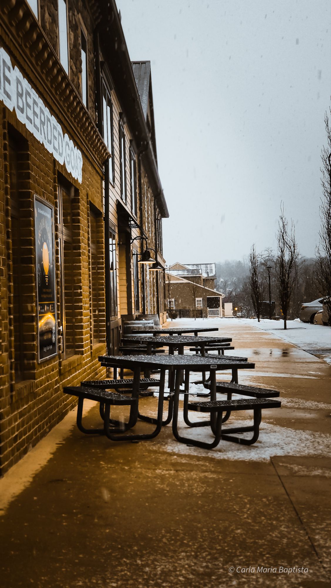Snow/ Neve – A Toast Between Seasons